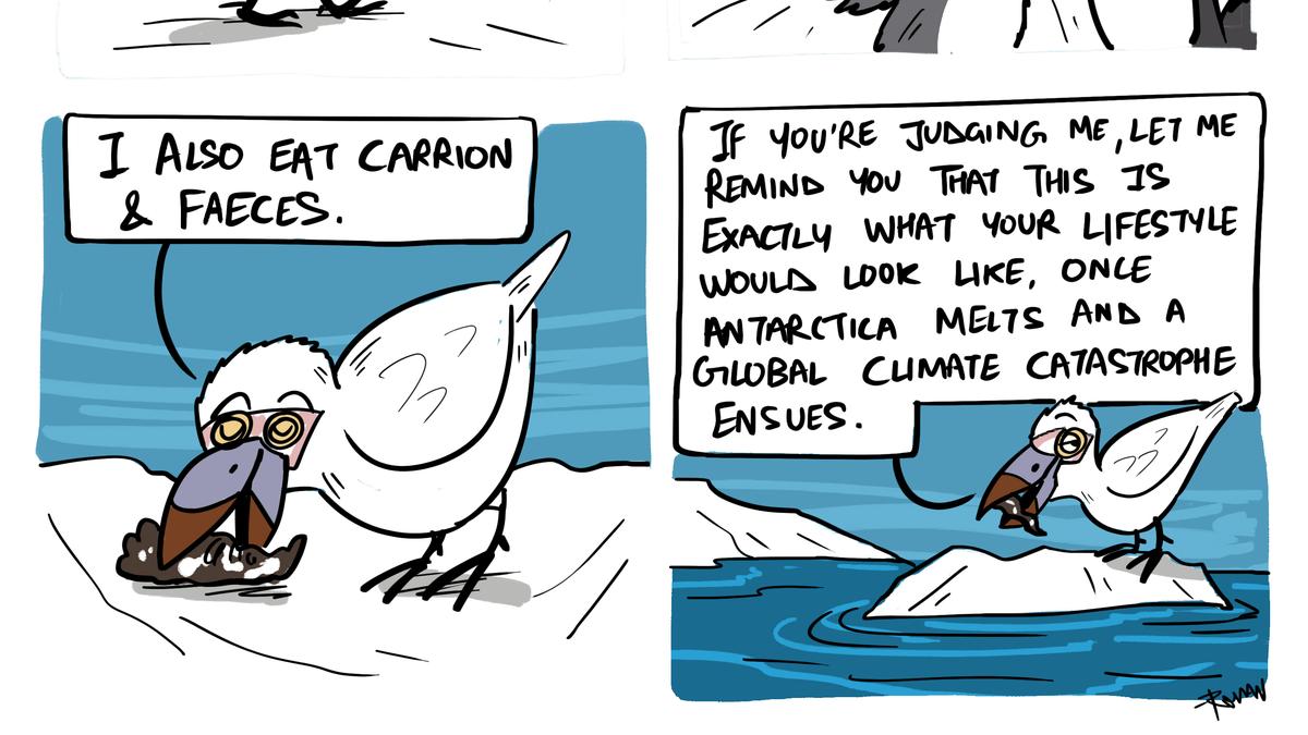 Green Humour by Rohan Chakravarty on climate change and the snowy sheathbill of Antarctica - The ...